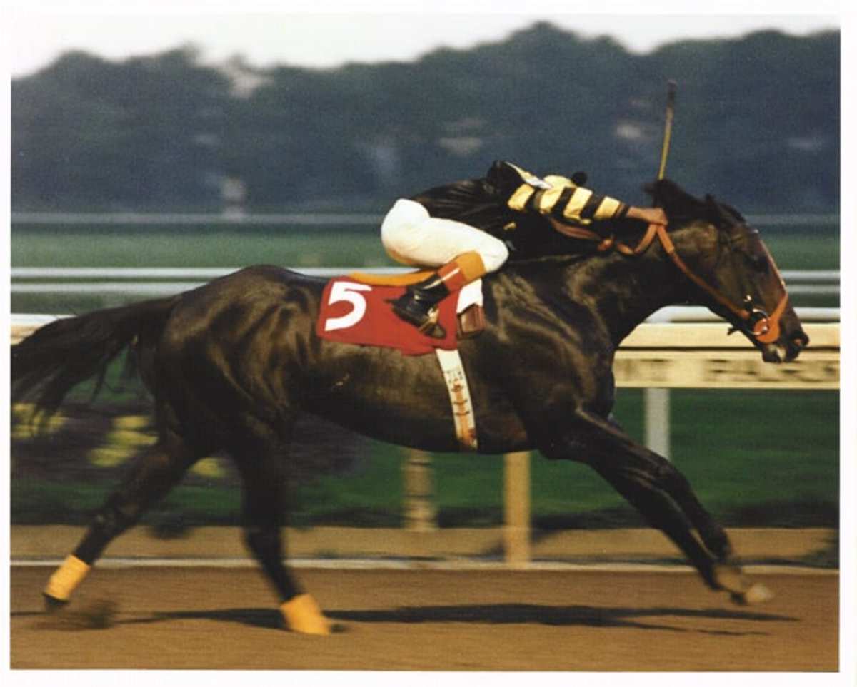 How Triple Crown Winners Fared In The Breeding Shed - Horse Racing News ...