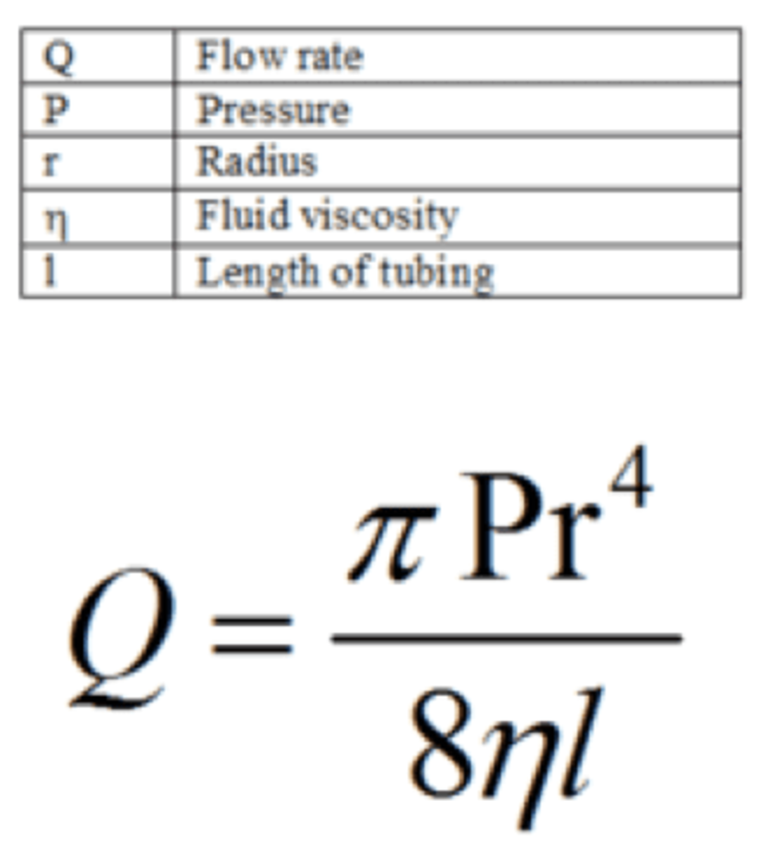 How Physics And Drinking Straws Relate To A Horse's Airway - Paulick ...