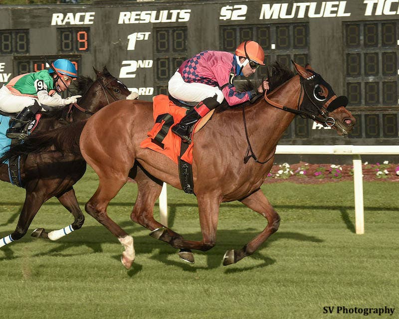 Jockey Hector Rafael Diaz Jr. Driven By Hope That His Brother Will Walk ...