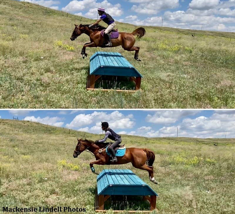 Horowitz On OTTBs, Presented By Excel Equine: Like OTTBs, No Two ...