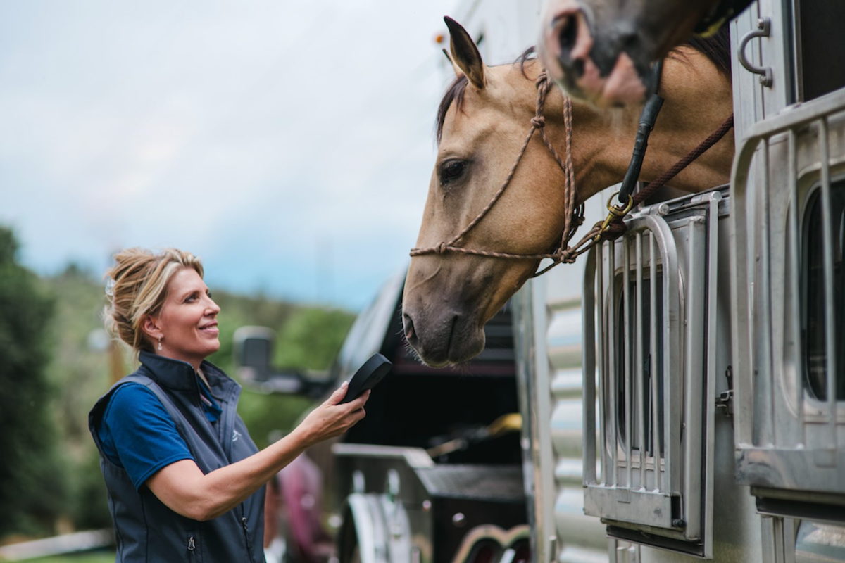 Taking the Guess Work Out of Identification: How Lip Chip Becomes a ...